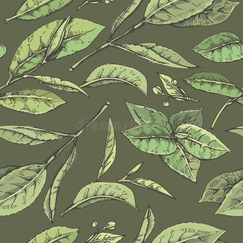 Hand-drawn Seamless Pattern Matcha Leaves on the Green Background ...