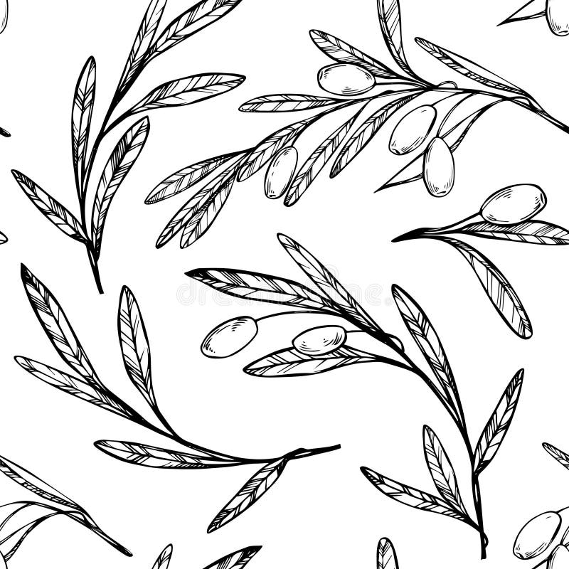 Hand Drawn Seamless Pattern - Olive Trees. Vintage Background Stock ...