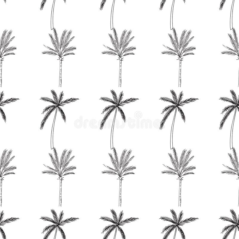 Hand-drawn Seamless Pattern with Palm Trees, Isolated on White ...