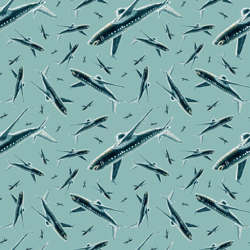 Hand Drawn Seamless Pattern of Randomly Located Airplane in Flight in ...