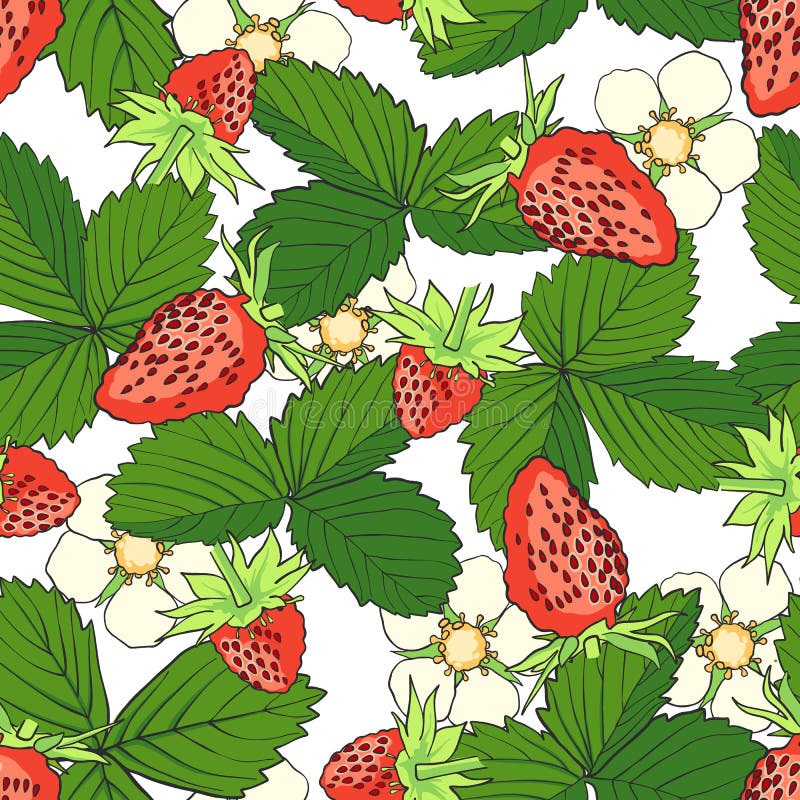 Hand Drawn Seamless Pattern with Strawberry. Stock Vector ...