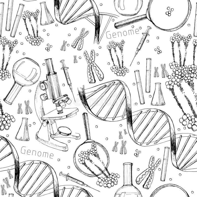 Hand Drawn Seamless Pattern of Structure of DNA. Genome Sequence ...