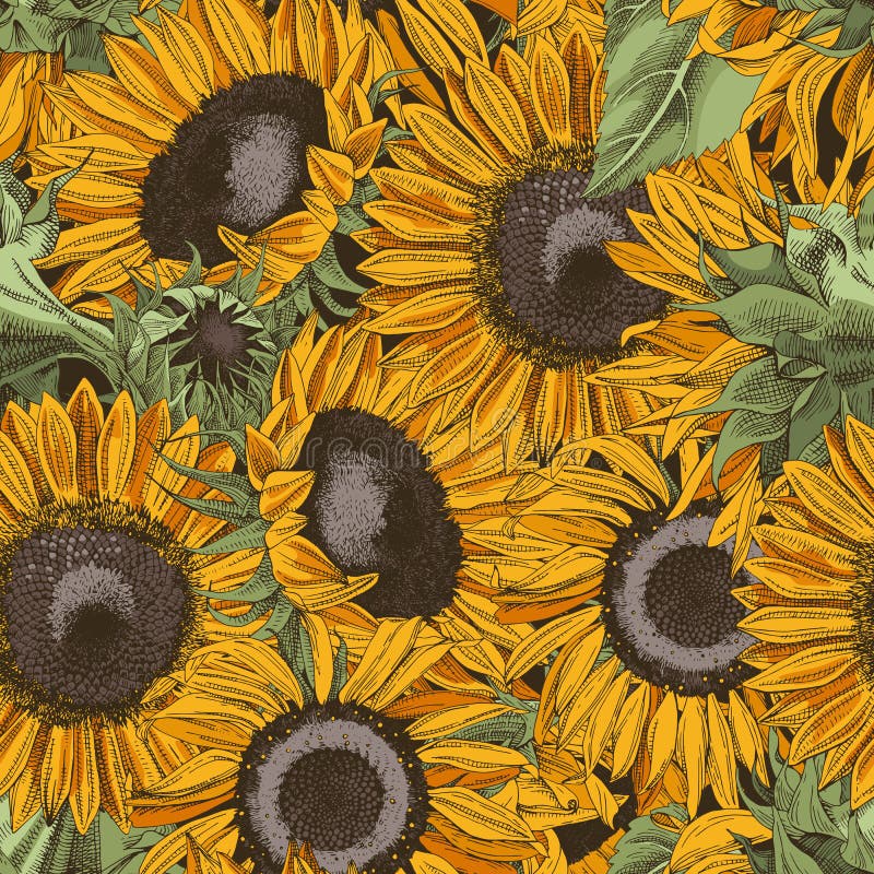 Hand Drawn Seamless Pattern with Sunflowers Stock Vector - Illustration ...