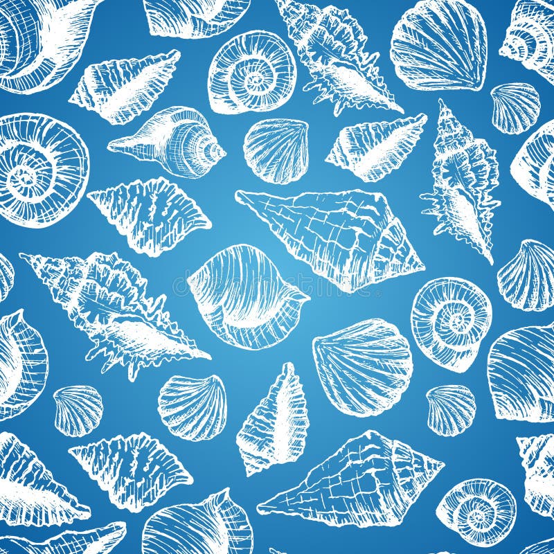 Seashell Stock Illustrations – 58,767 Seashell Stock Illustrations ...