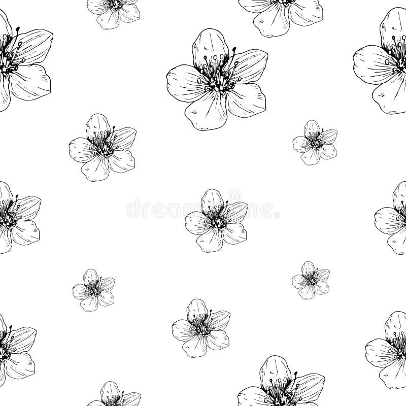 Hand Drawn Seamless Pattern Vector of Black and White Spring Sakura ...