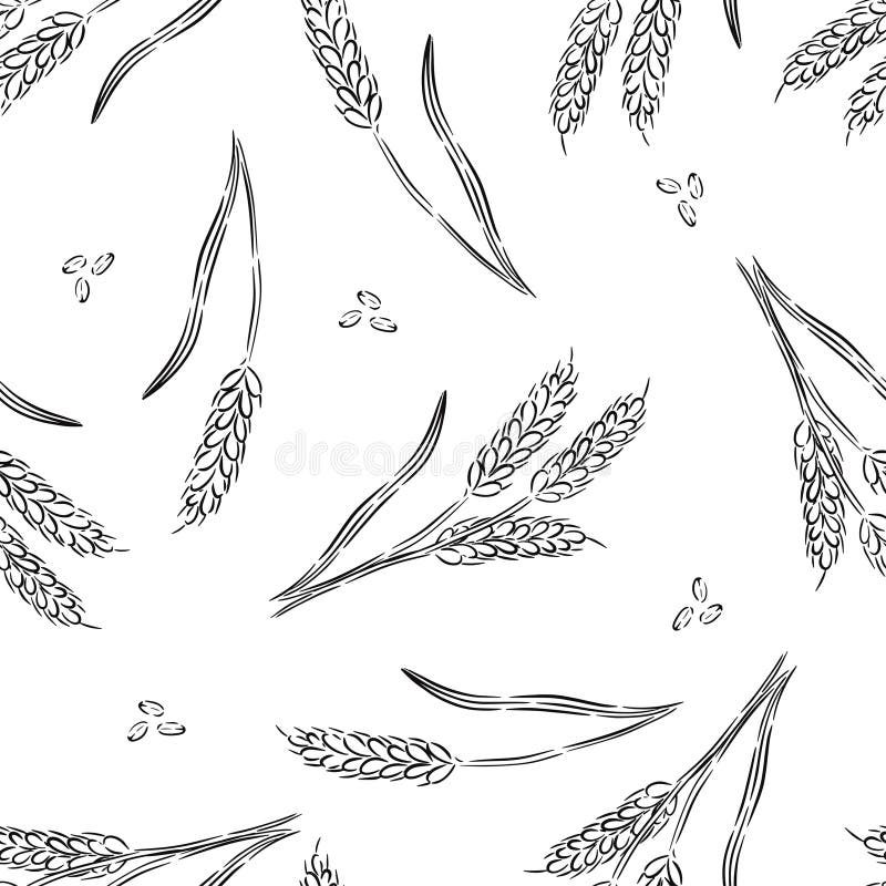 Hand Drawn Seamless Pattern of Wheat and Grain on a White Background ...