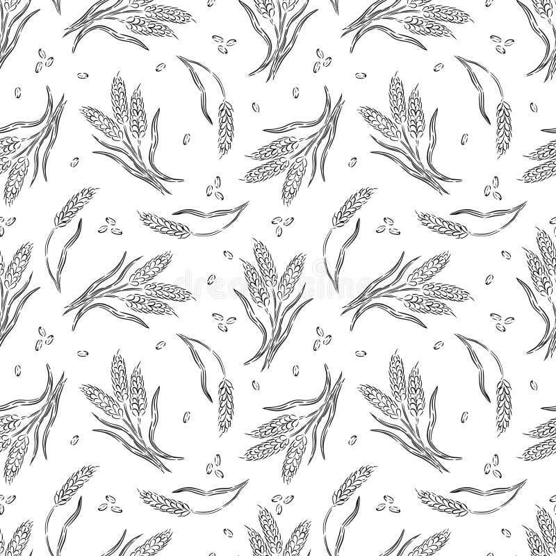 Hand Drawn Seamless Pattern Wheat and Seeds Sketch on White Background ...