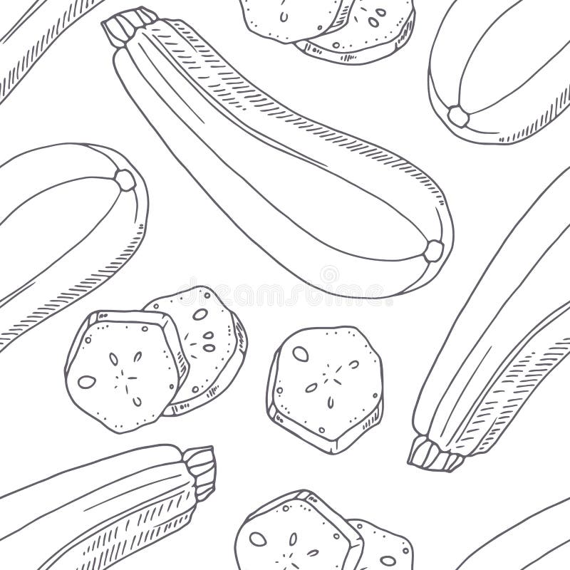 Hand Drawn Seamless Pattern with Zucchini. Monochrome Background in ...