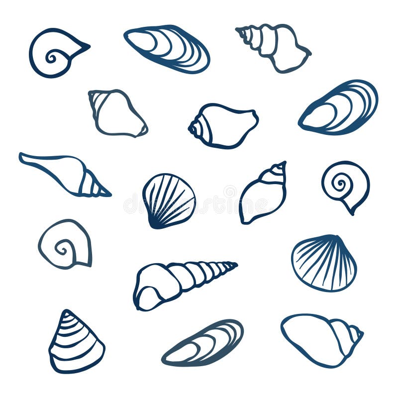 Hand drawn seashell stock vector. Illustration of hand - 123742127