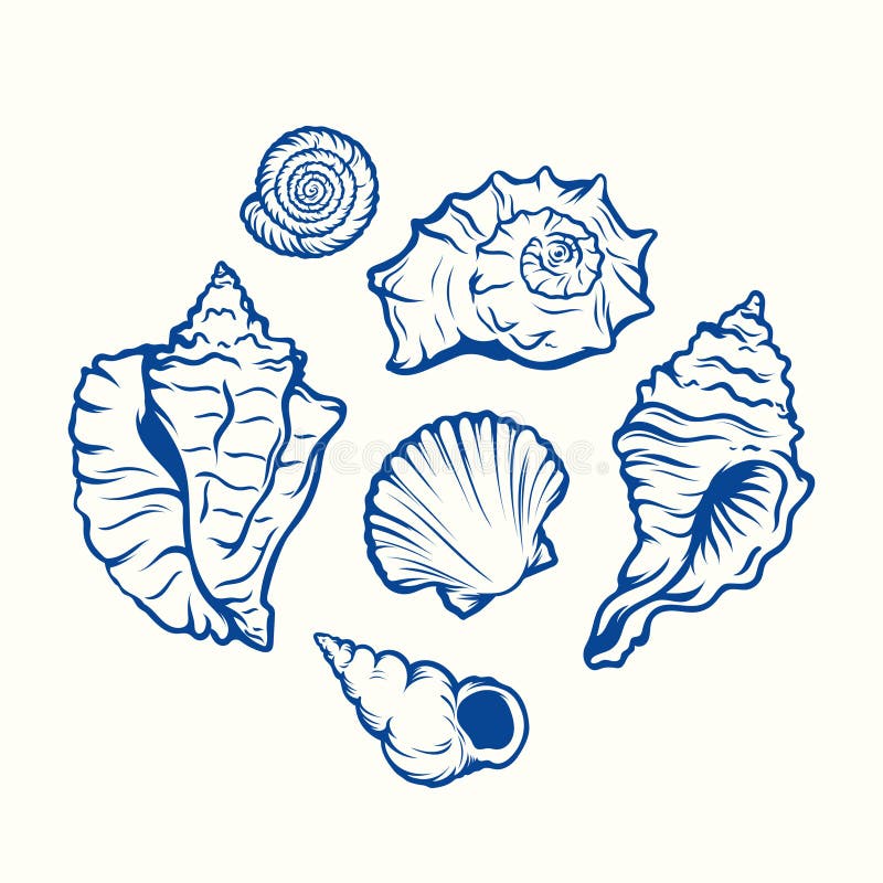 Hand Drawn Seashells Set of Engraved Line. Collection of Realistic ...