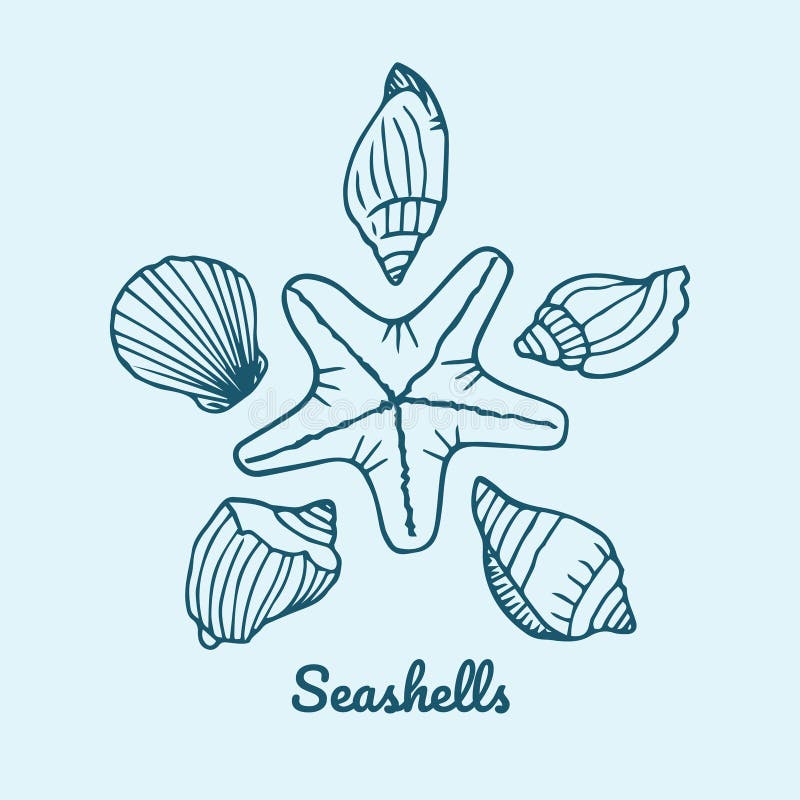 Hand Drawn Seashells Set. Various Sea Shells Types. Doodle Vector ...