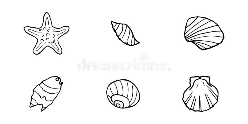 Hand Drawn Seashells Set. Various Sea Shells Types. Best for Using in ...