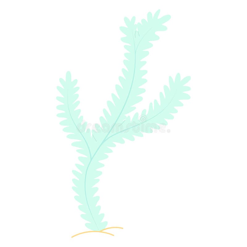 Hand Drawn Seaweed, Cartoon Flat Vector Illustration. Underwater ...