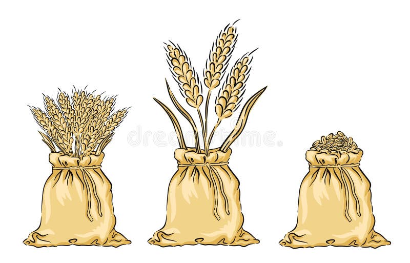 Wheat Bag Vector Wheat Bag Images Free Download On Freepik