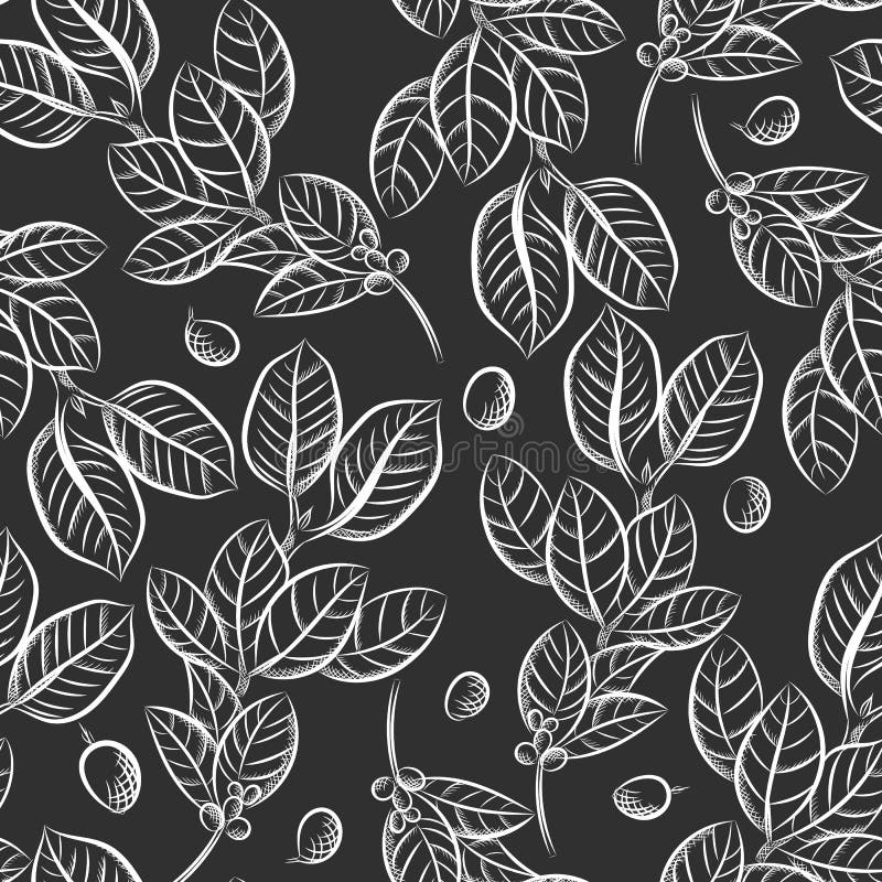 Hand Drawn Set Coffee Vector Illustration Breakfast. Vintage Coffee ...