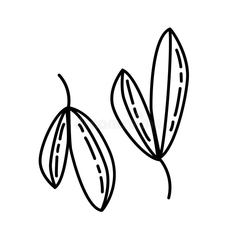 A Hand-drawn Set of Small Leaves. Vector Illustration Stock Vector ...