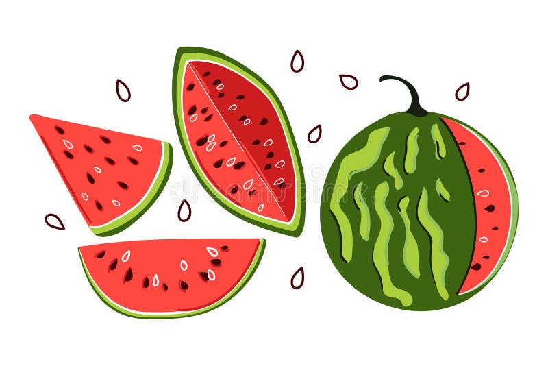 Hand Drawn Set of Watermelons. Stock Vector - Illustration of organic ...