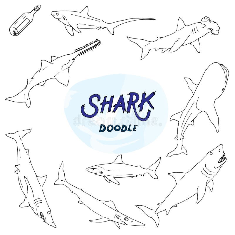 Hand drawn shark doodle stock vector. Illustration of nature - 222338044