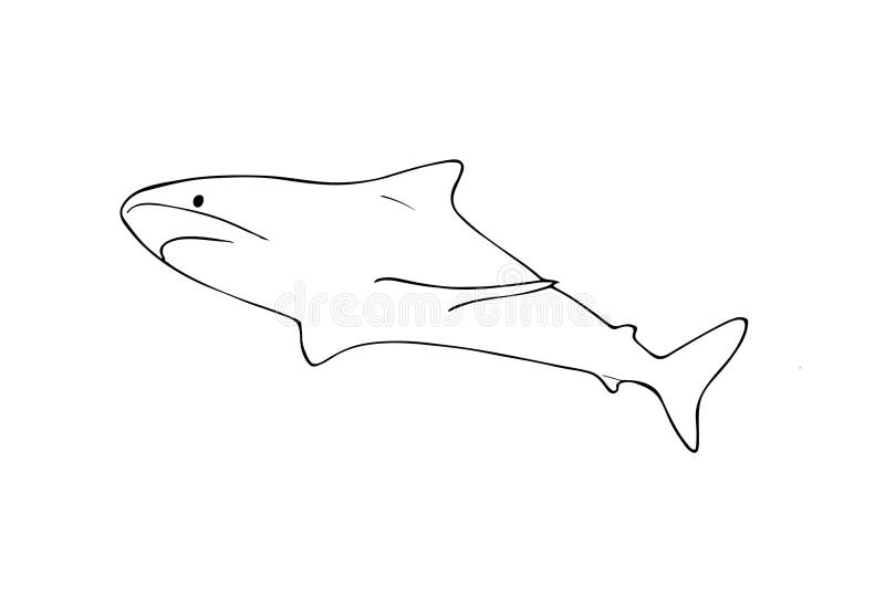 Hand-drawn Shark Sketch in Doodle Style. Isolated Illustration Stock ...