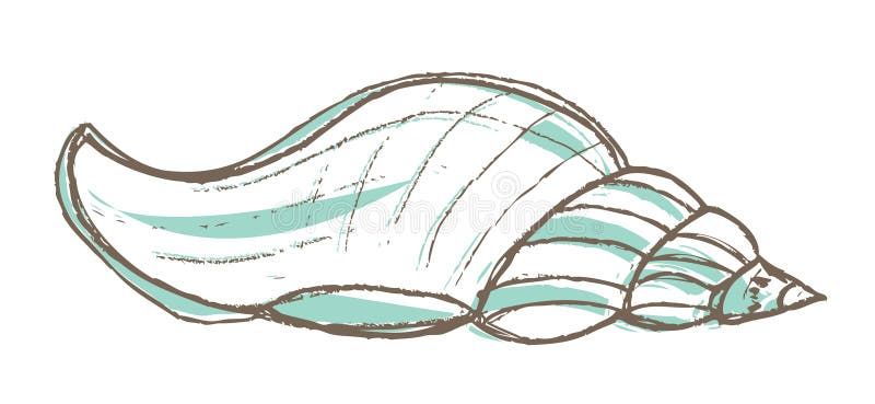 Hand Drawn Shell at the Beach Stock Illustration - Illustration of ...