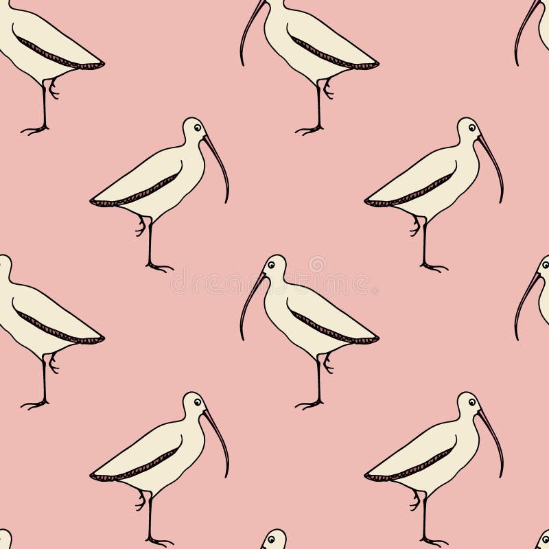Hand Drawn Shorebird Pattern Stock Vector - Illustration of poster ...