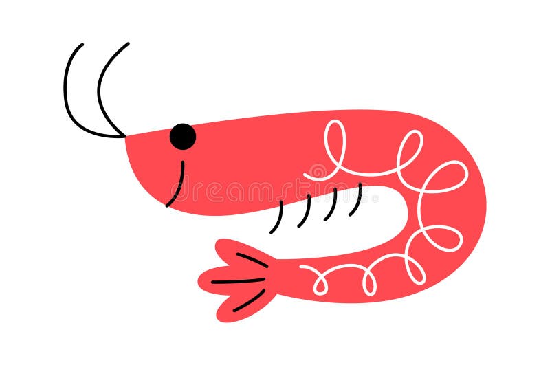 Hand Drawn Shrimp Abstract Design Element Seafood Illustration Stock ...