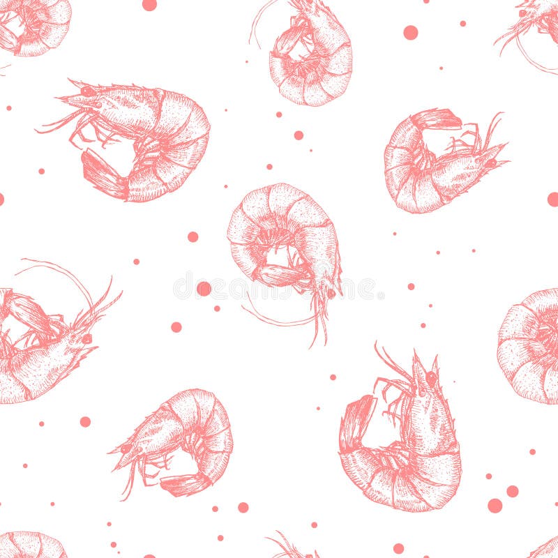 Hand drawn shrimp pattern stock vector. Illustration of prawn - 72050663