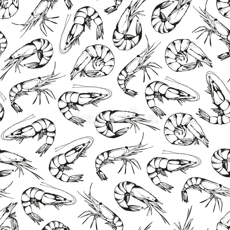 Shrimps Pattern Stock Illustrations – 571 Shrimps Pattern Stock ...