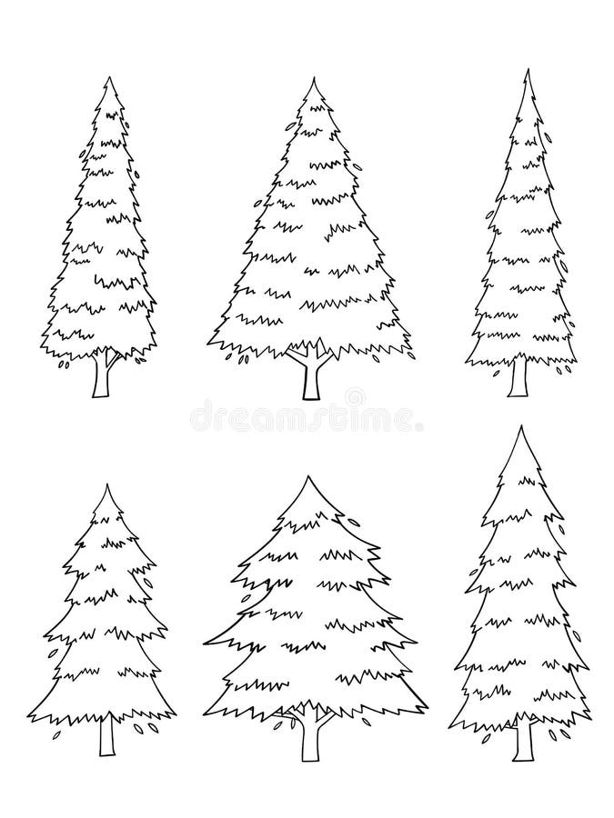 Hand Drawn Side View Pine Tree Vector Set Stock Vector - Illustration ...