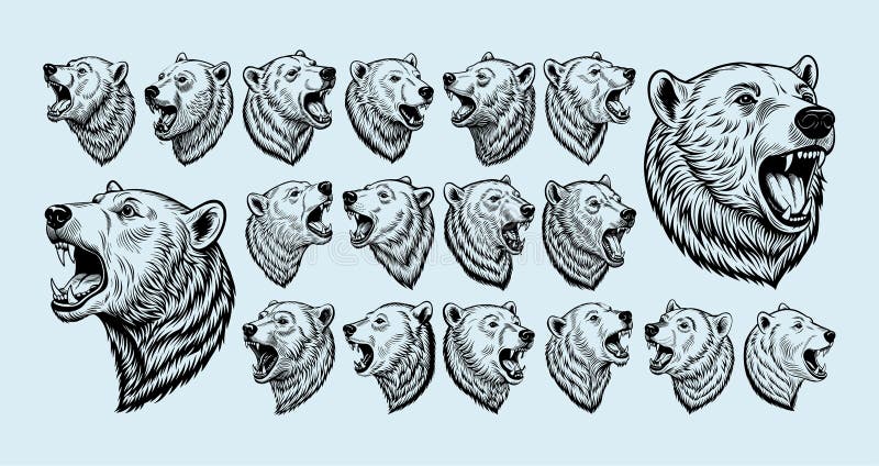 Hand Drawn Side View Roaring Polar Bear Head Illustration Design Set ...