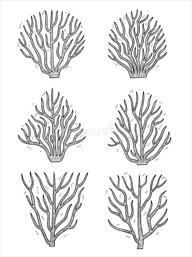 Hand Drawn Side View Tree Vector Set. Stock Vector - Illustration of ...