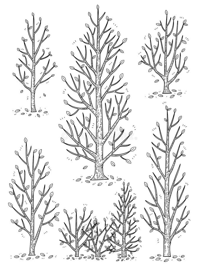 Hand Drawn Side View Tree Vector Set. Stock Vector - Illustration of ...