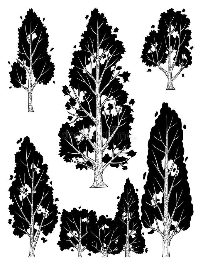 Hand Drawn Side View Tree Vector Set. Stock Vector - Illustration of ...