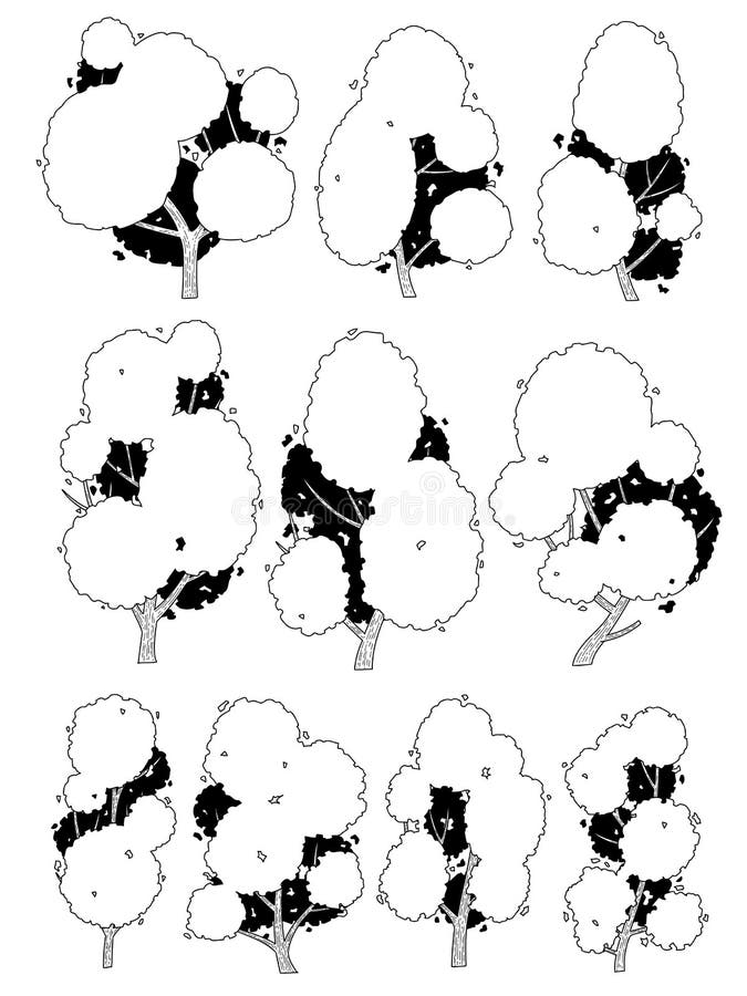 Hand Drawn Side View Tree Vector Set. Stock Vector - Illustration of ...