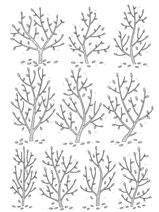 Hand Drawn Side View Tree Vector Set. Stock Vector - Illustration of ...