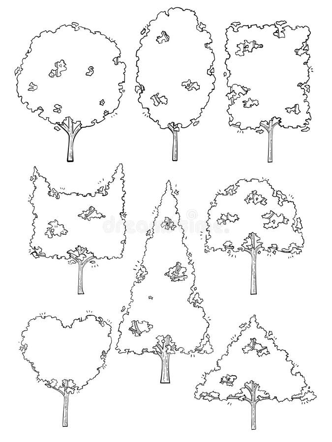 Hand Drawn Side View Tree Vector Set. Stock Vector - Illustration of ...
