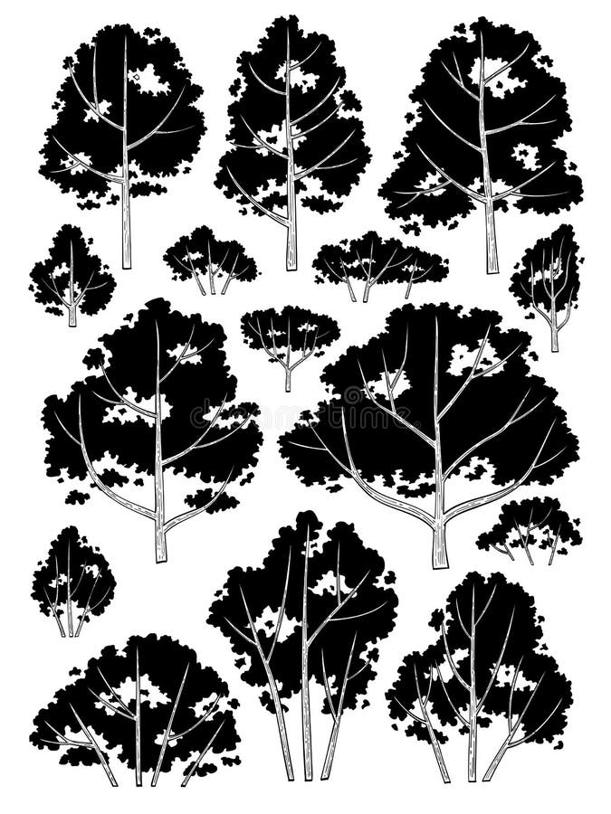 Hand Drawn Side View Tree Vector Set Stock Vector - Illustration of ...