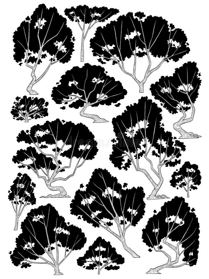 Hand Drawn Side View Tree Vector Set Stock Vector - Illustration of ...