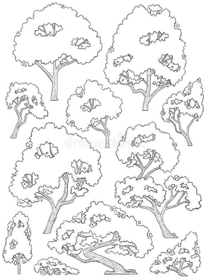 Hand Drawn Side View Tree Vector Set Stock Vector - Illustration of ...