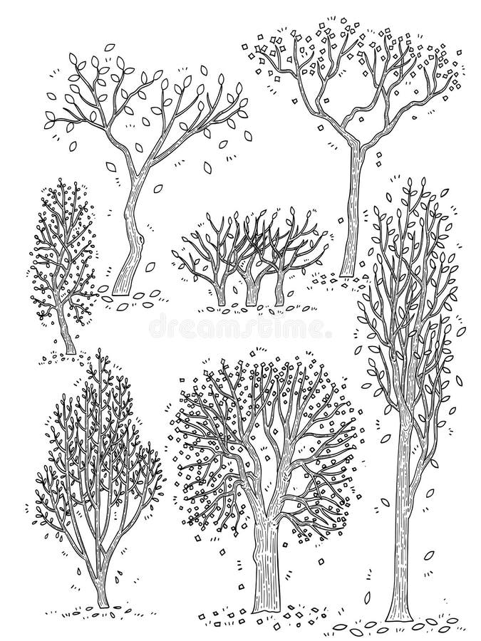 Hand Drawn Side View Tree Vector Set Stock Vector - Illustration of ...