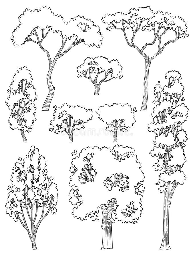 Hand Drawn Side View Tree Vector Set Stock Vector - Illustration of ...