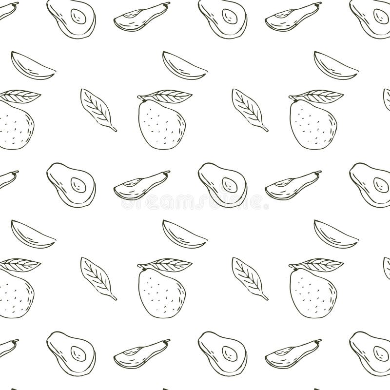 Hand Drawn Sketch Avocado Outline Background Stock Vector ...