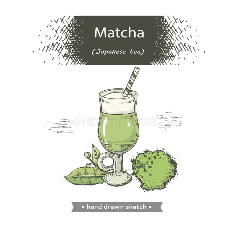 Hand-drawn Sketch Fresh Matcha Drink. Stock Vector - Illustration of ...