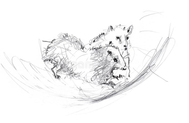 Hamster Tracing Stock Illustrations – 35 Hamster Tracing Stock ...