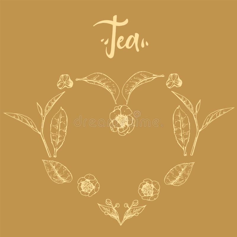 Hand-drawn Sketch Heart with Tea Leaves and Flowers. Stock Vector ...