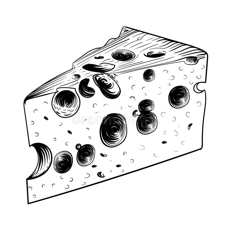 Hand Drawn Sketch Piece of Cheese. Vector Black and White Vintage ...