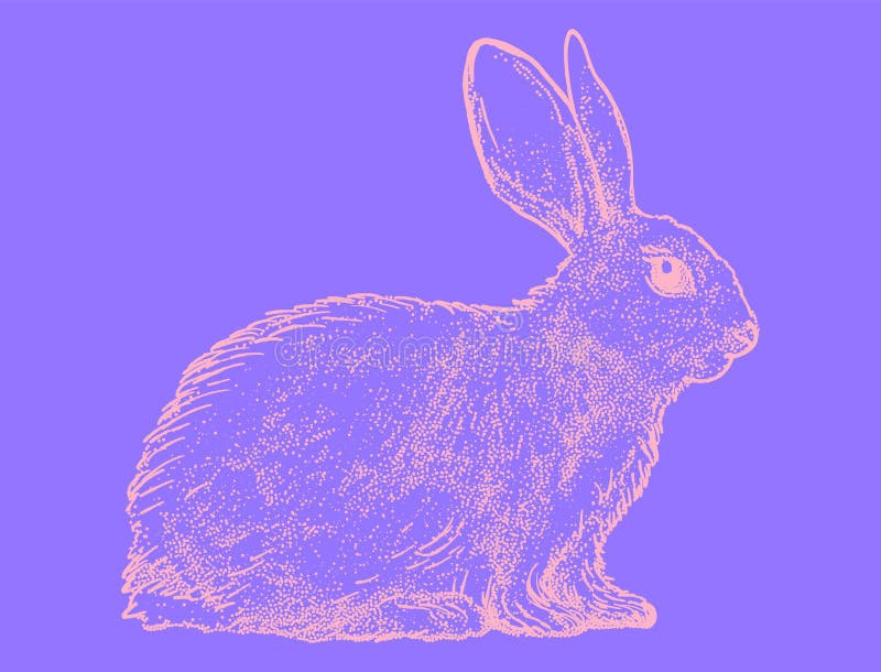Hand Drawn Sketch Rabbit for Your Design. Psychedelic Bunny Stock ...