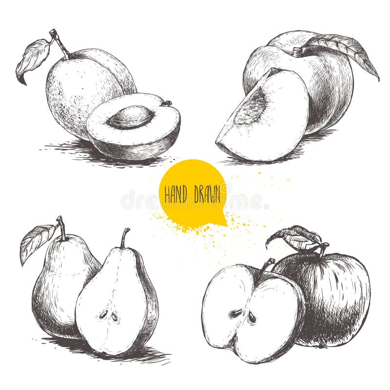 Fruits Half Vector Stock Illustrations – 13,348 Fruits Half Vector ...