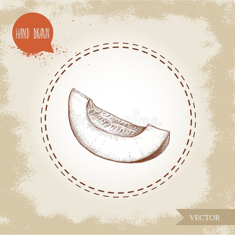 Hand Drawn Sketch Style Illustration Half of Melon Slice Stock Vector ...