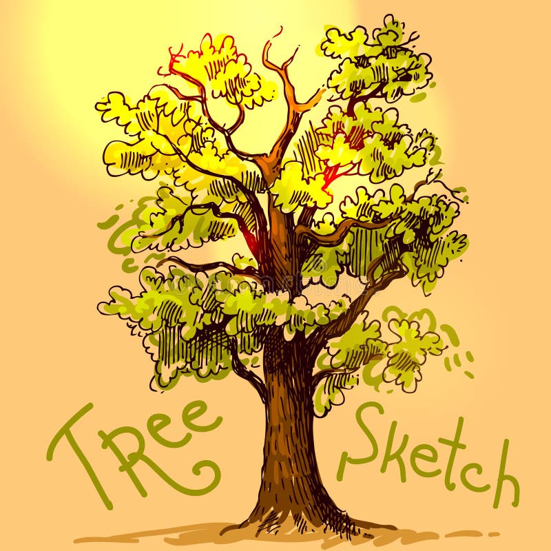 Hand drawn sketch tree stock vector. Illustration of cover - 63962412